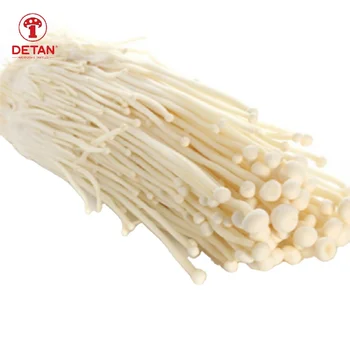 Detan Export Cultivated Fresh Enoki Mushroom - Buy Enoki Mushrooms ...