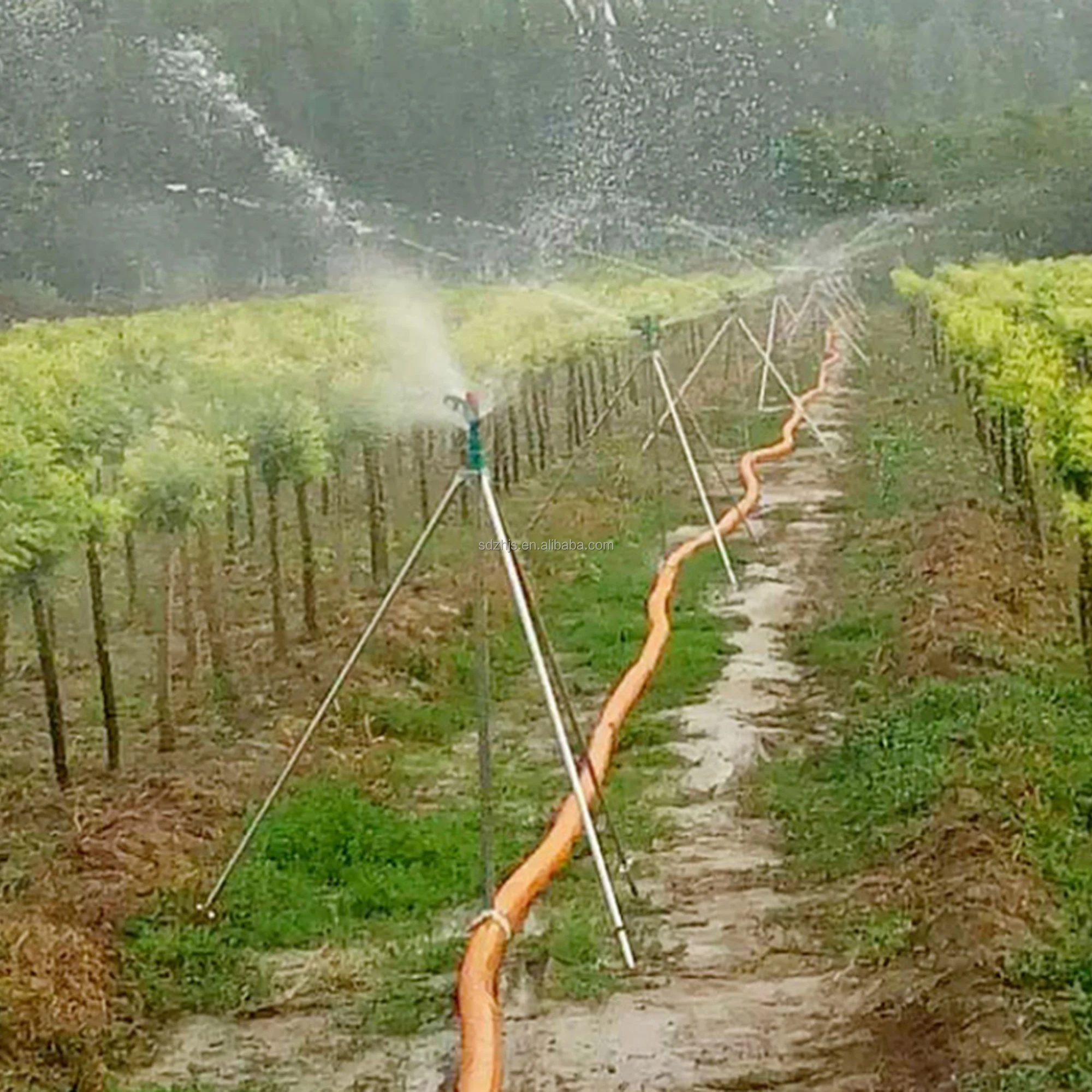 Long Range Rain Gun Sprinkler - Efficient Agricultural Irrigation