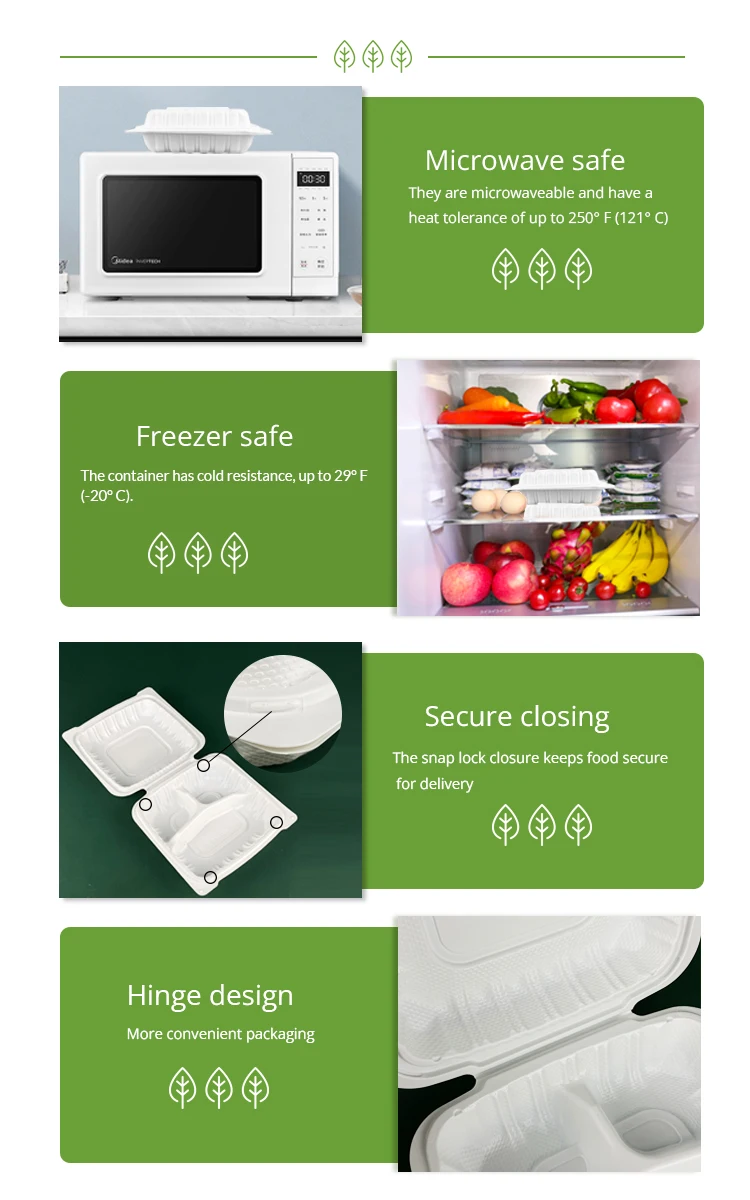 Bk1 8x8 9*9 Inch 3 Compartment Eco Friendly White Rectangular Mfpp ...