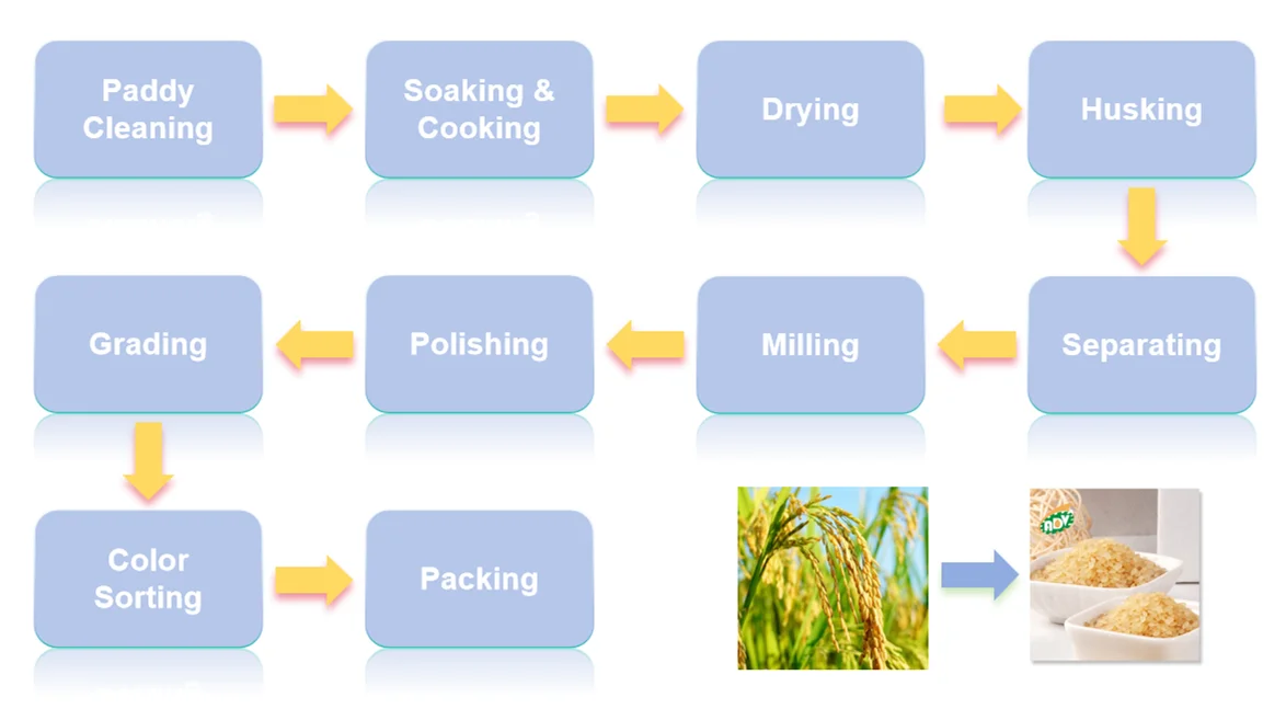 Extruded Rice Machine 30tpd Parboiled Rice Mill Plant Process Grain ...