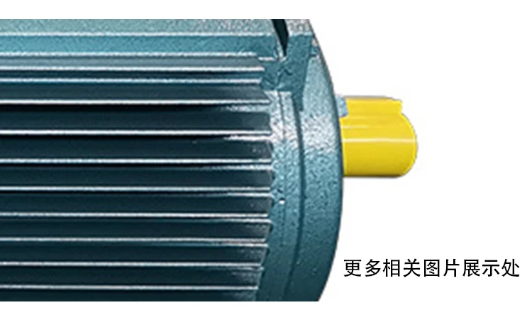 Squirrel Cage 220v Electric Fan Ac Motor - Buy Xiangtan Electric ...