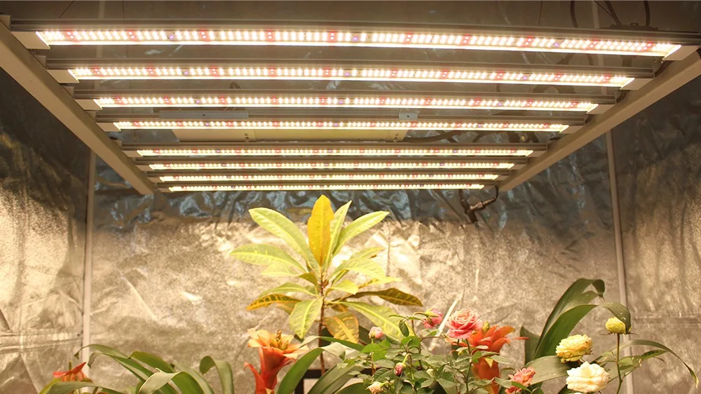 App Smart Controller! Figolite Full Spectrum 660nm Led Plant Grow ...