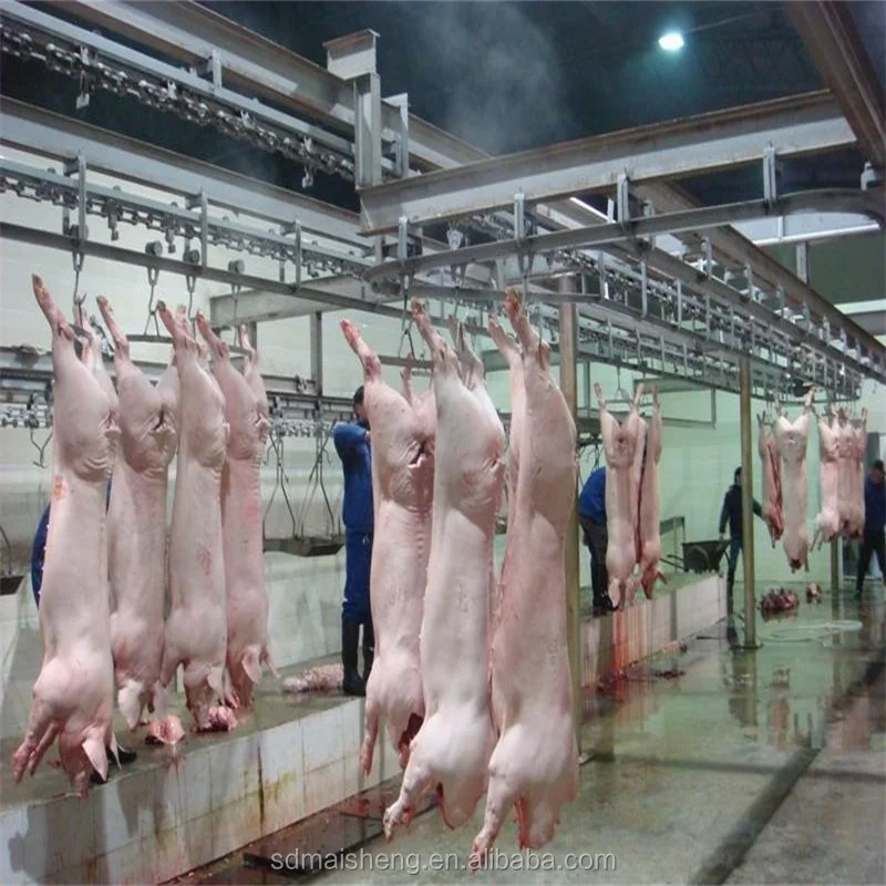 Complete Pig Slaughtering Line Swine Slaughterhouse Machinery With ...