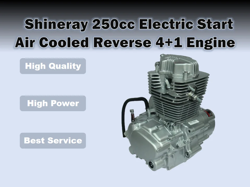 Shineray 250cc Electric Start Air Cooled Reverse 4+1 Engine Motor For ...