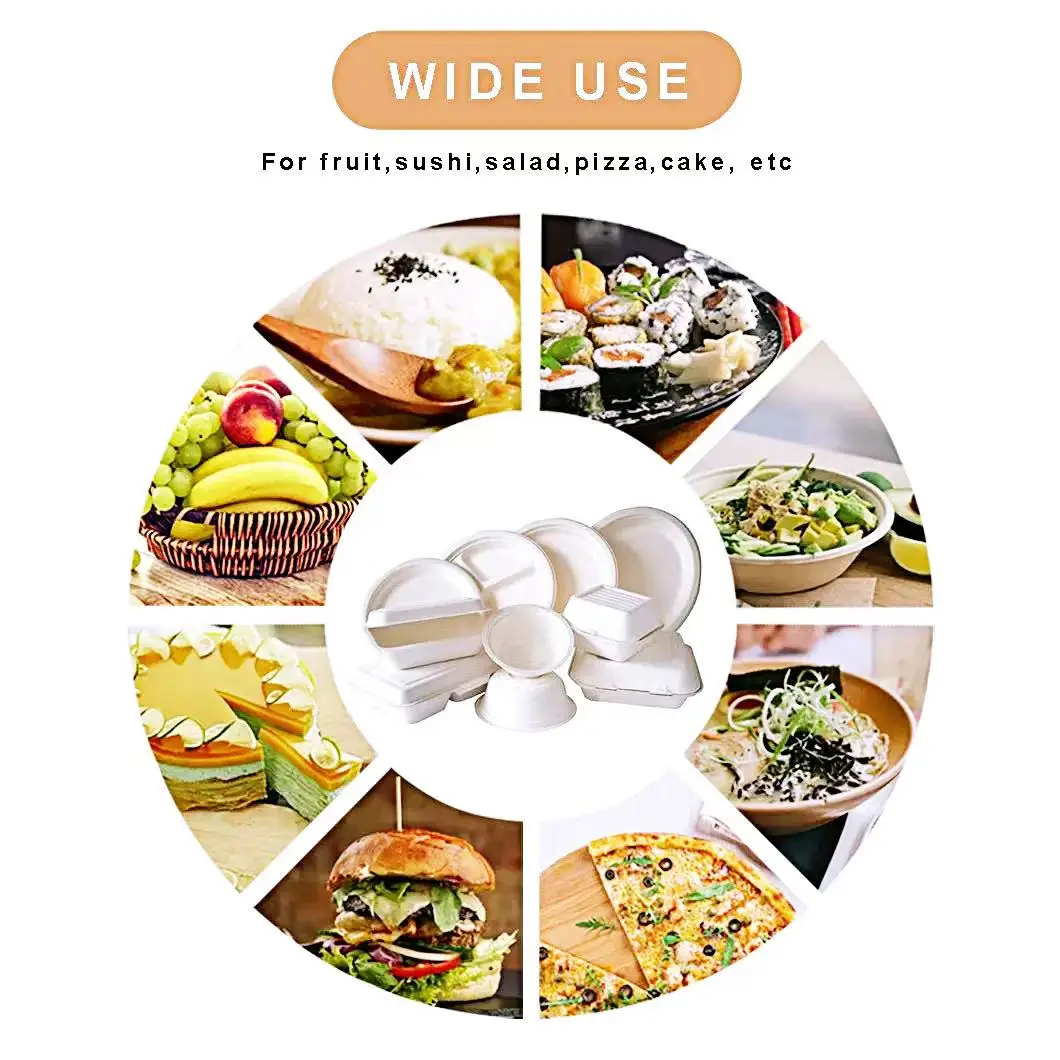 High Quality Sugarcane Bagasse Pulp Oval Plate Tray Microwave Safe ...