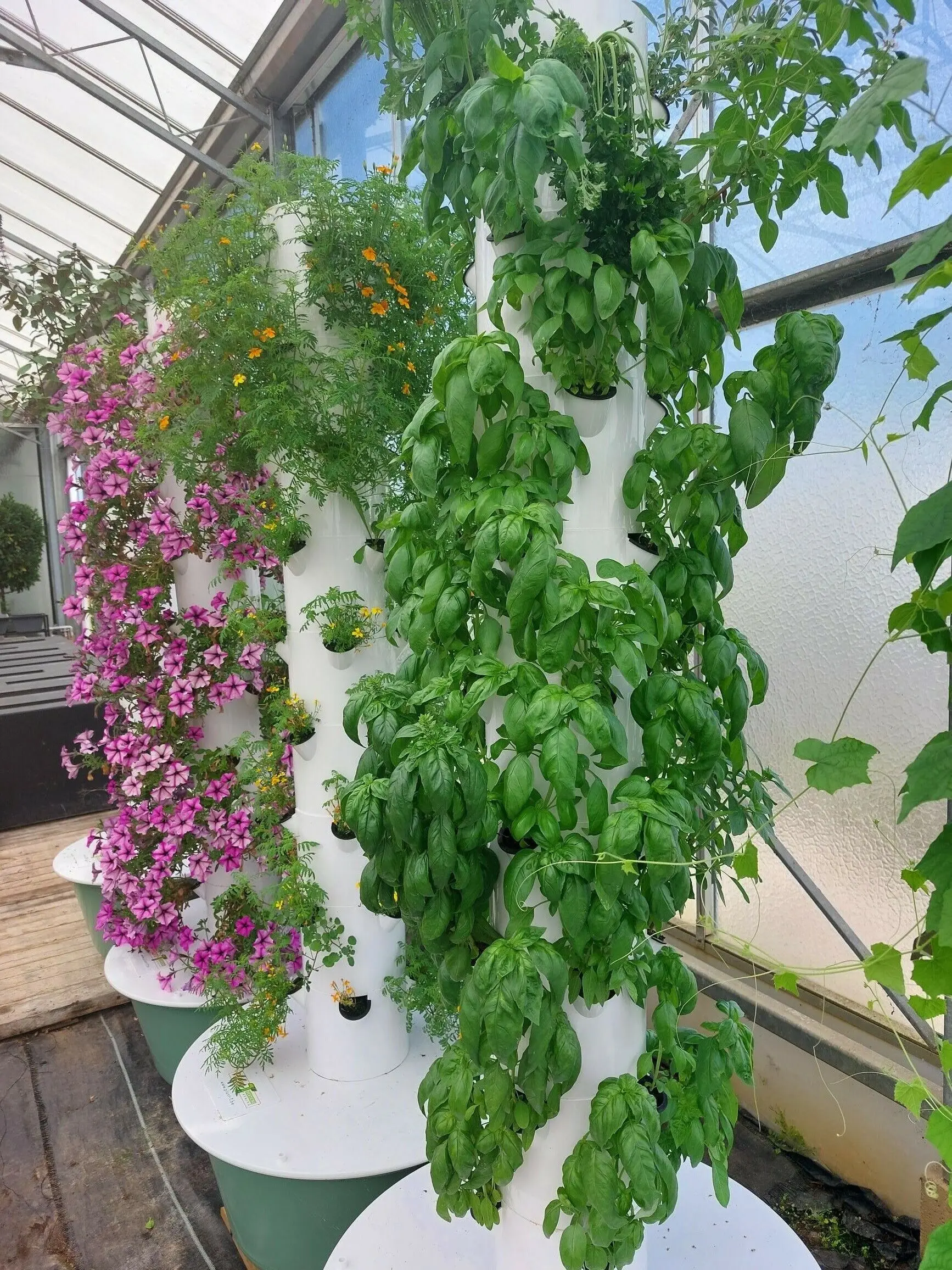 Vertical Tower Farm Grow Tower Hydroponic Home Farming - Buy Tower Farm ...