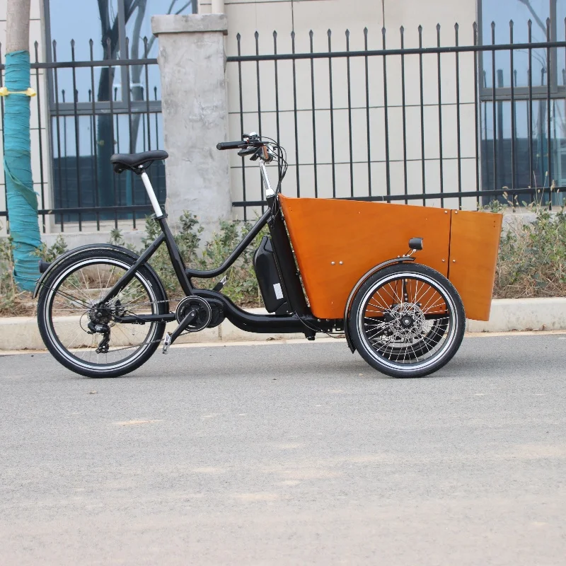 Family Bakfiets Electric Cargo Bike Dutch Trike Mid Drive Bafang - Buy ...