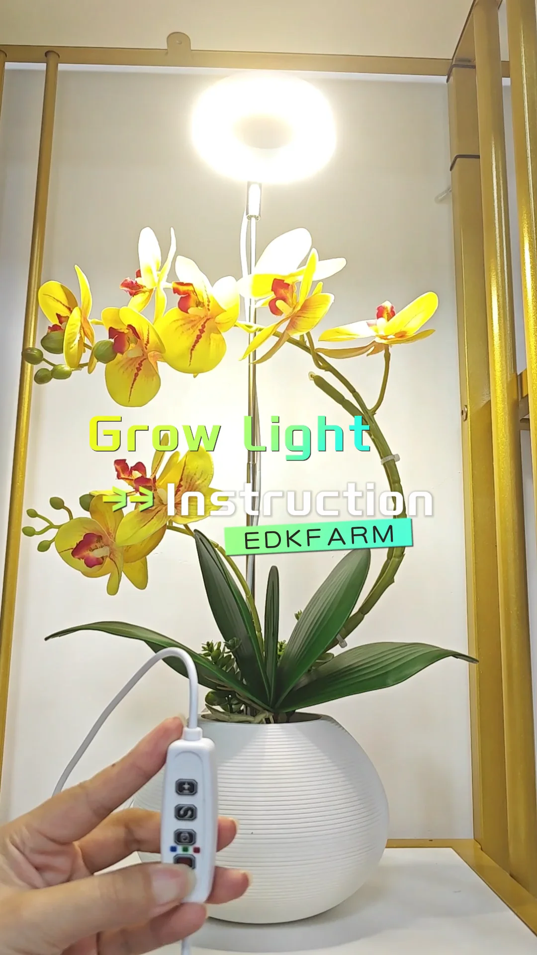 380nm 800nm Led Smart Indoor Garden Plants Lamp Kitchen 6500k Spectrum ...