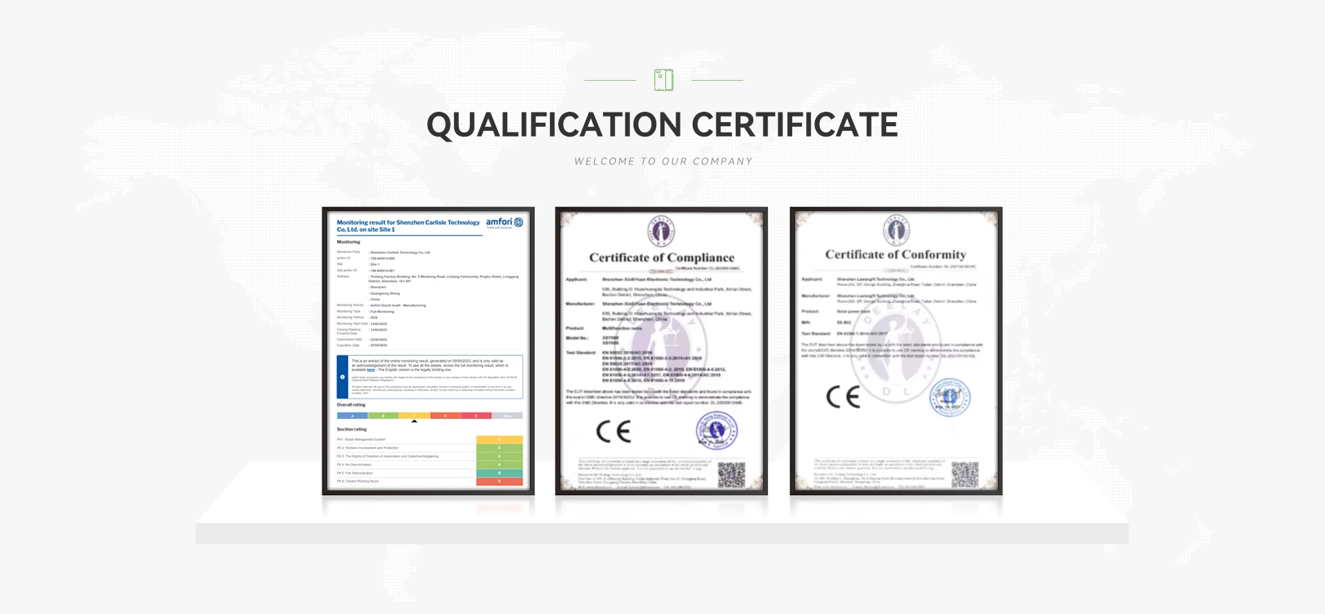 Company Overview - Shenzhen Carlisle Technology Co., Ltd.