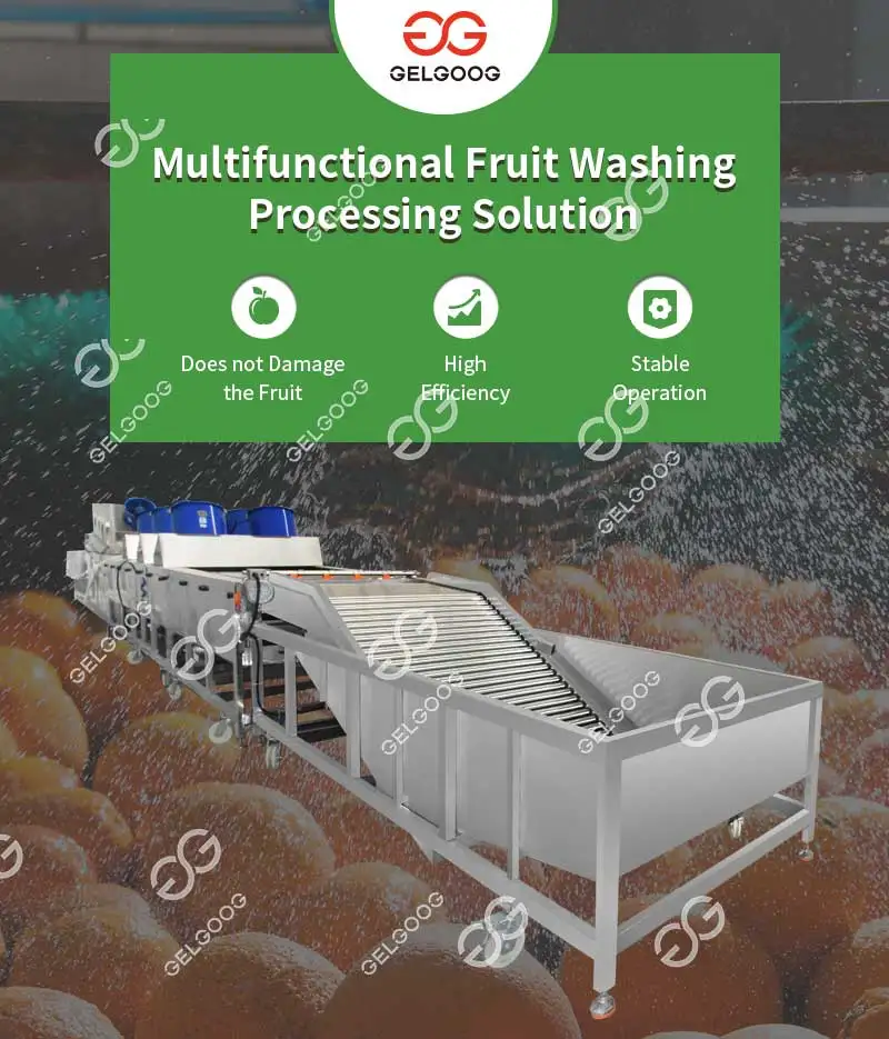 Dried Fruits Blancher - Efficient Cleaning & Drying Machine