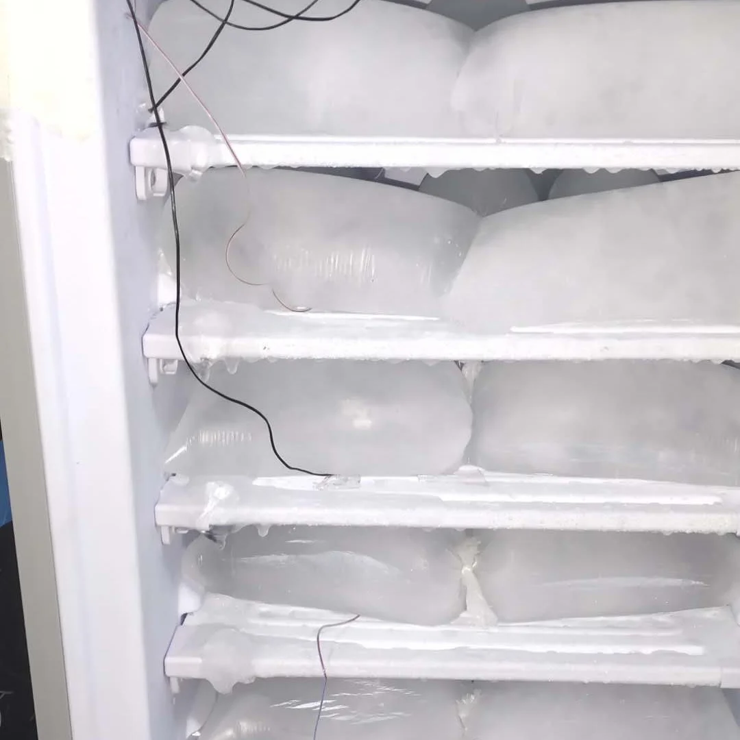 198l Dc 24v Ice Block Upright Freezer Business Solar Panel Gel Battery ...