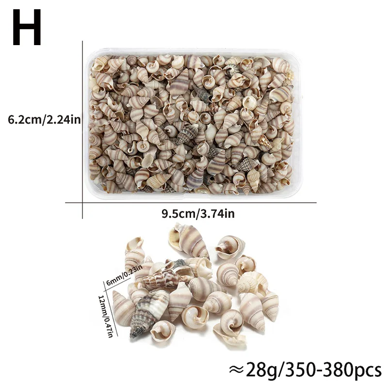 Extra Tiny Mix Sea Shells,Very Small & Clean,28 G Apprx. 110-120 Pcs+ ...