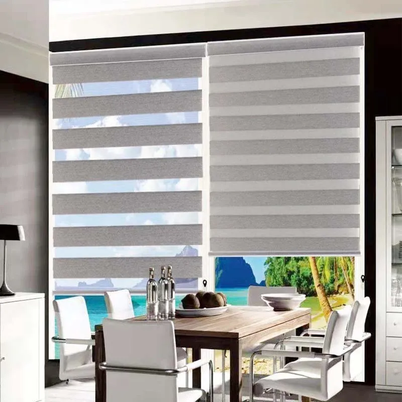 Manual Blackout Zebra Blinds Double Layer Fabric Shade Day And Night ...