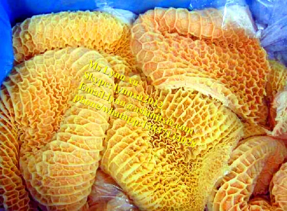 Tripe Cleaning Machine/Cattle Tripe Belly Stomach Washing Machine ...