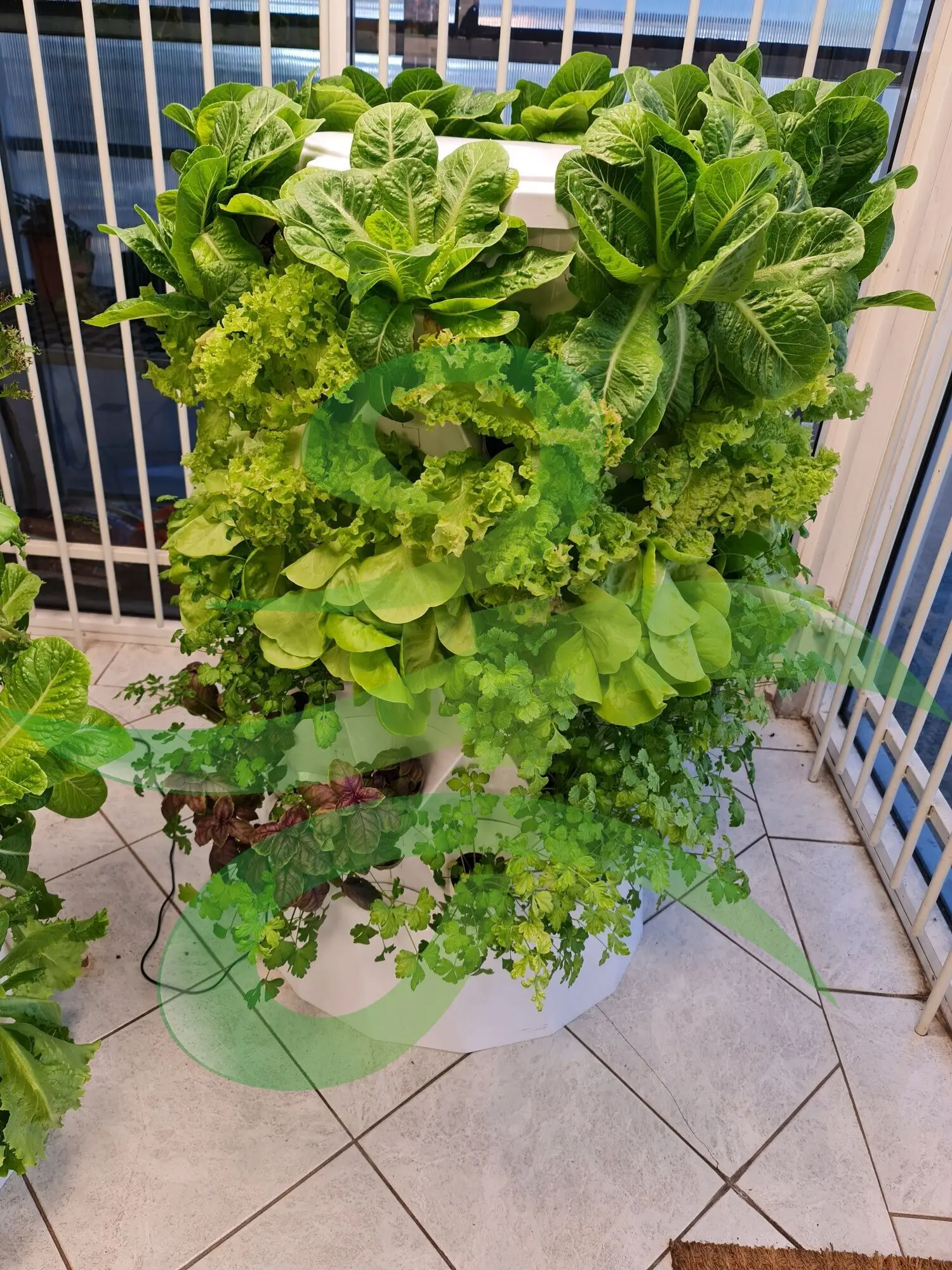 2020 Vertical Hydroponic Growing Systems - Easy & Efficient