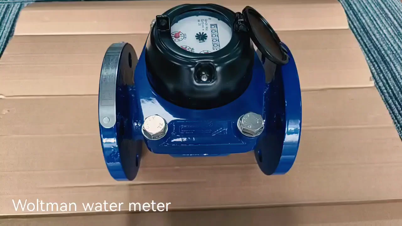 Iso 4064 Class B Woltman Type Dry Dial Cast Iron Body Flanged Water ...