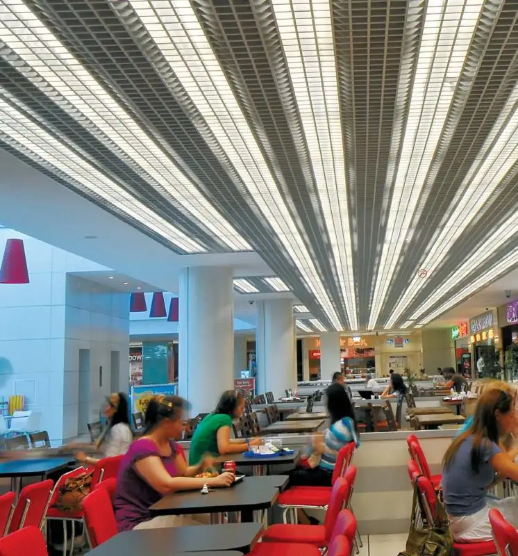 V Carrier Premium Ceiling Dragon Bone Assembly for Construction Projects