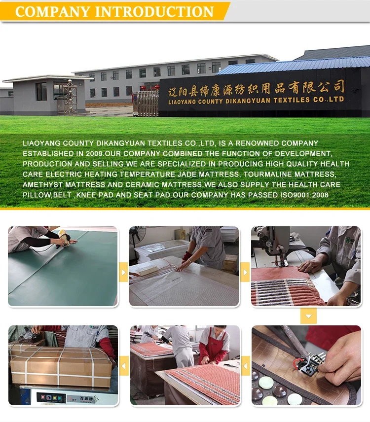 Customized PEMF Therapy Amethyst Crystal Infrared Chakra Mat