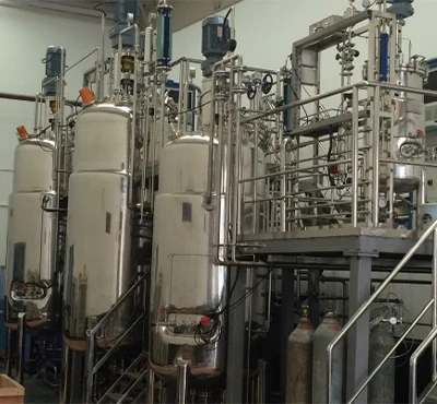 Customizable Fermenter Bioreactor 500L-20000L for Cell Culture