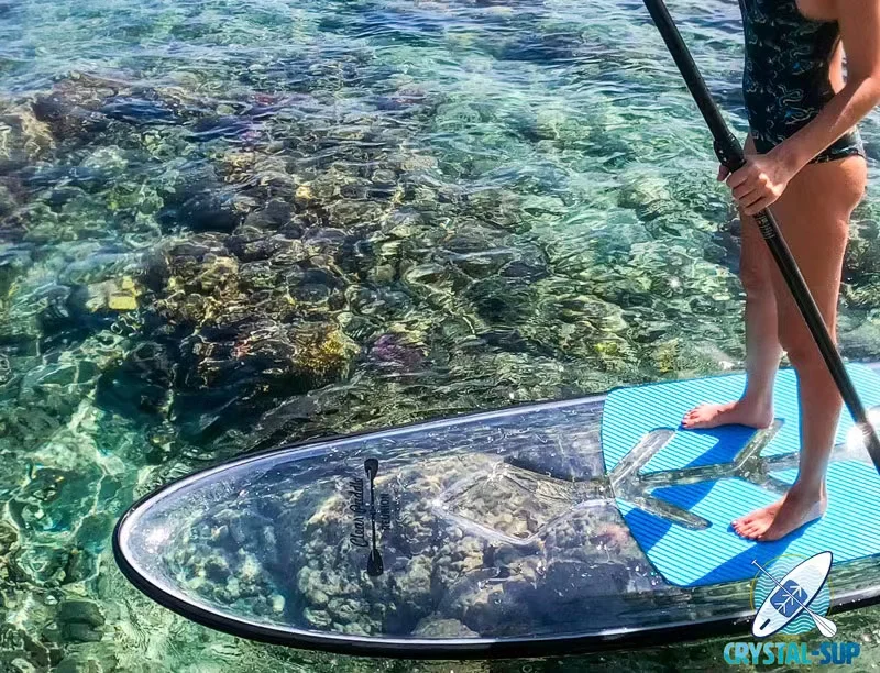 Wholesale Clear Transparent Bottom Surf SUP Paddle Board