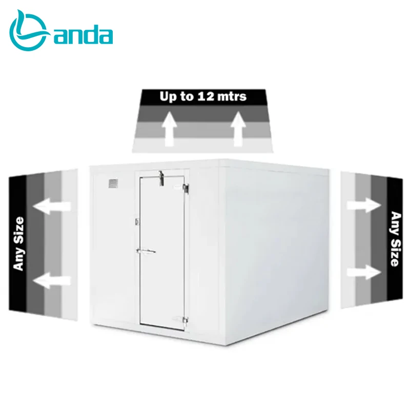 Frozen Beef Chicken Fish Meat Whole Cold Storage Freezer Room For ...