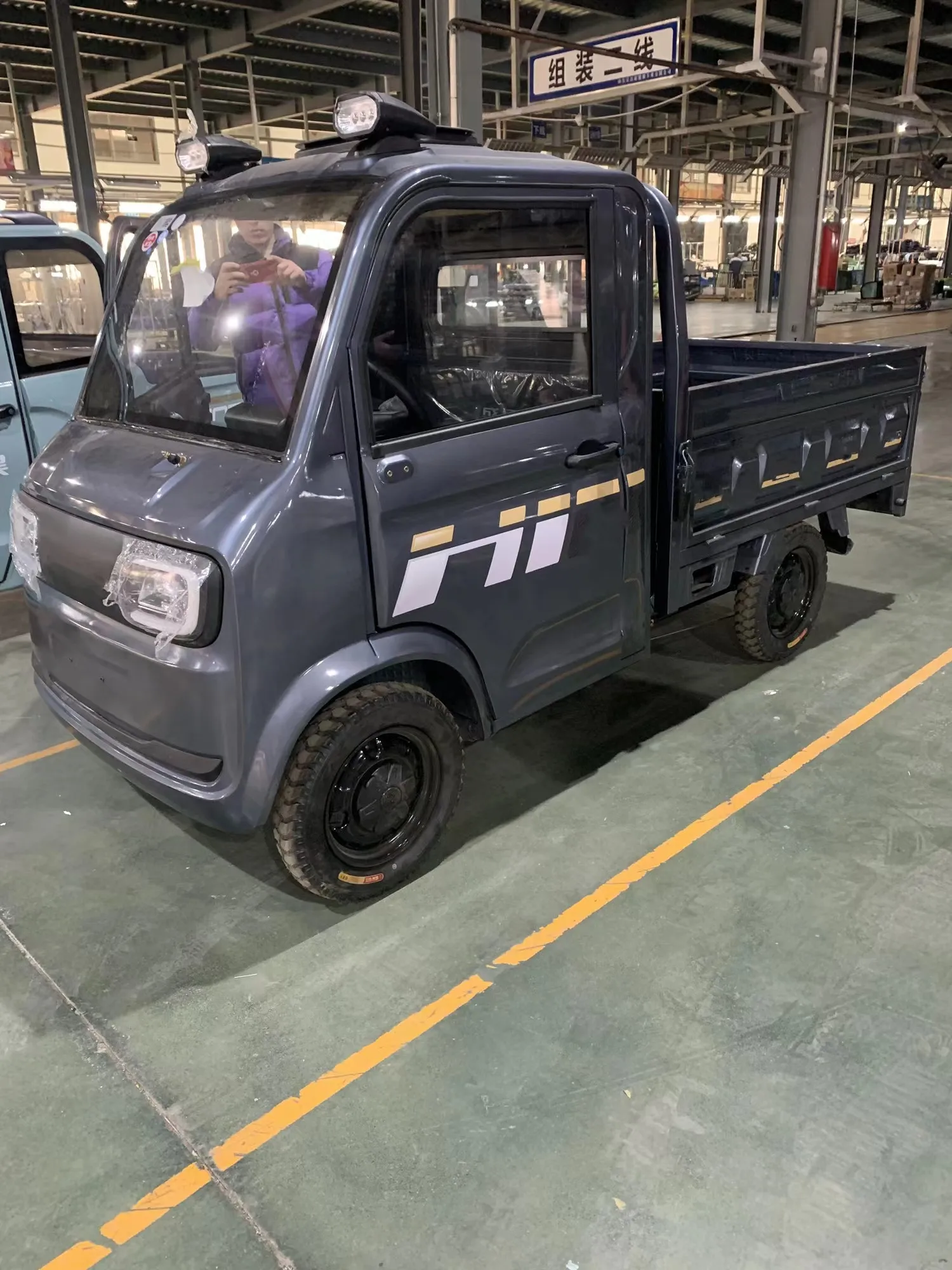 EEC Electric Pickup with Cargo Box - 3000W Motor Power