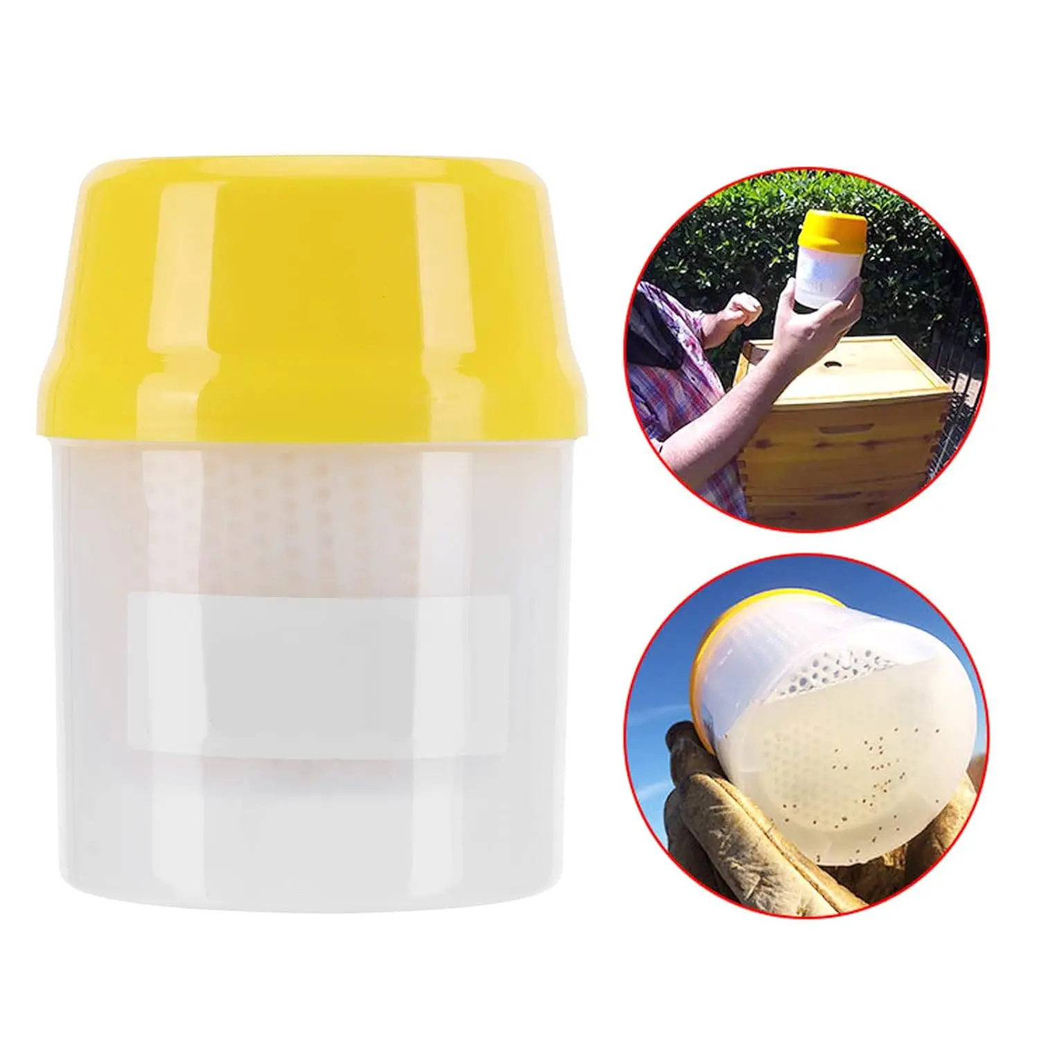 New Condition Plastic Varroa Mite Test Jar for Easy Check and Treatment ...