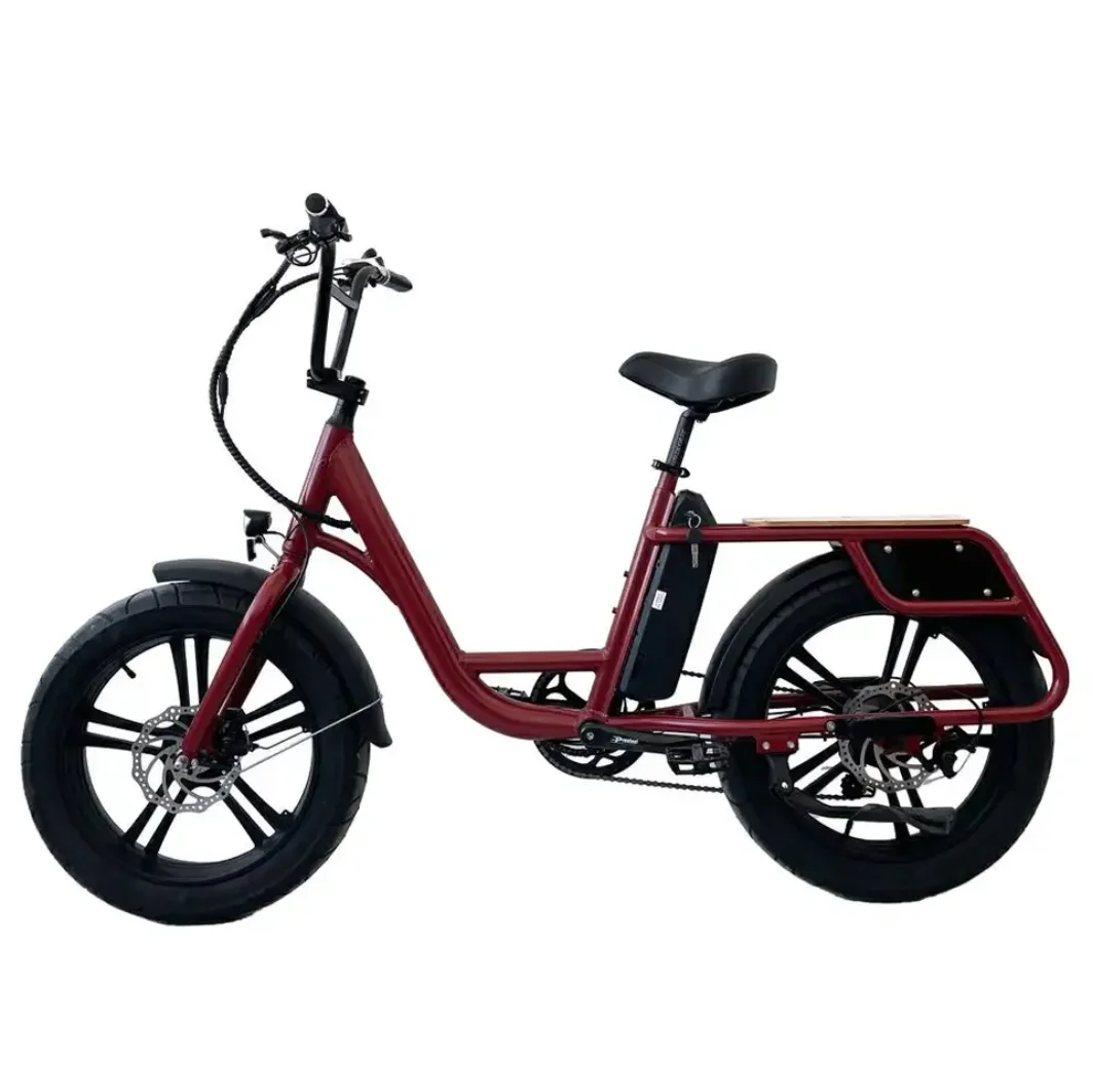 Big Power 500w Motor Fat Tire Electric Cargo E Bike/snow Bike/electric ...