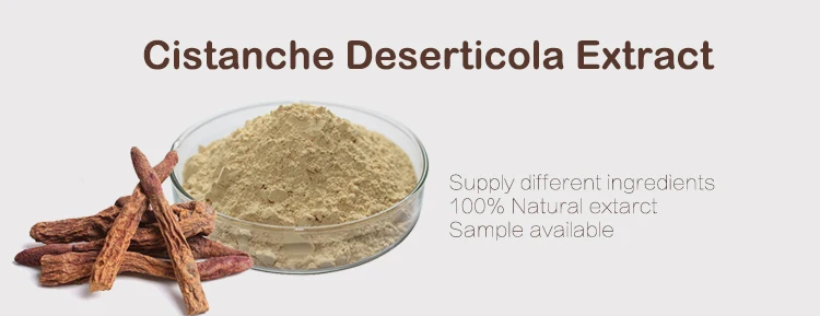 Cistanche Deserticola Extract - Premium Herbal Supplement