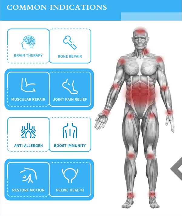 Pemf Mat Whole Body Therapy Device Pemf Loop Paddles Magnetic Pmst Loop ...