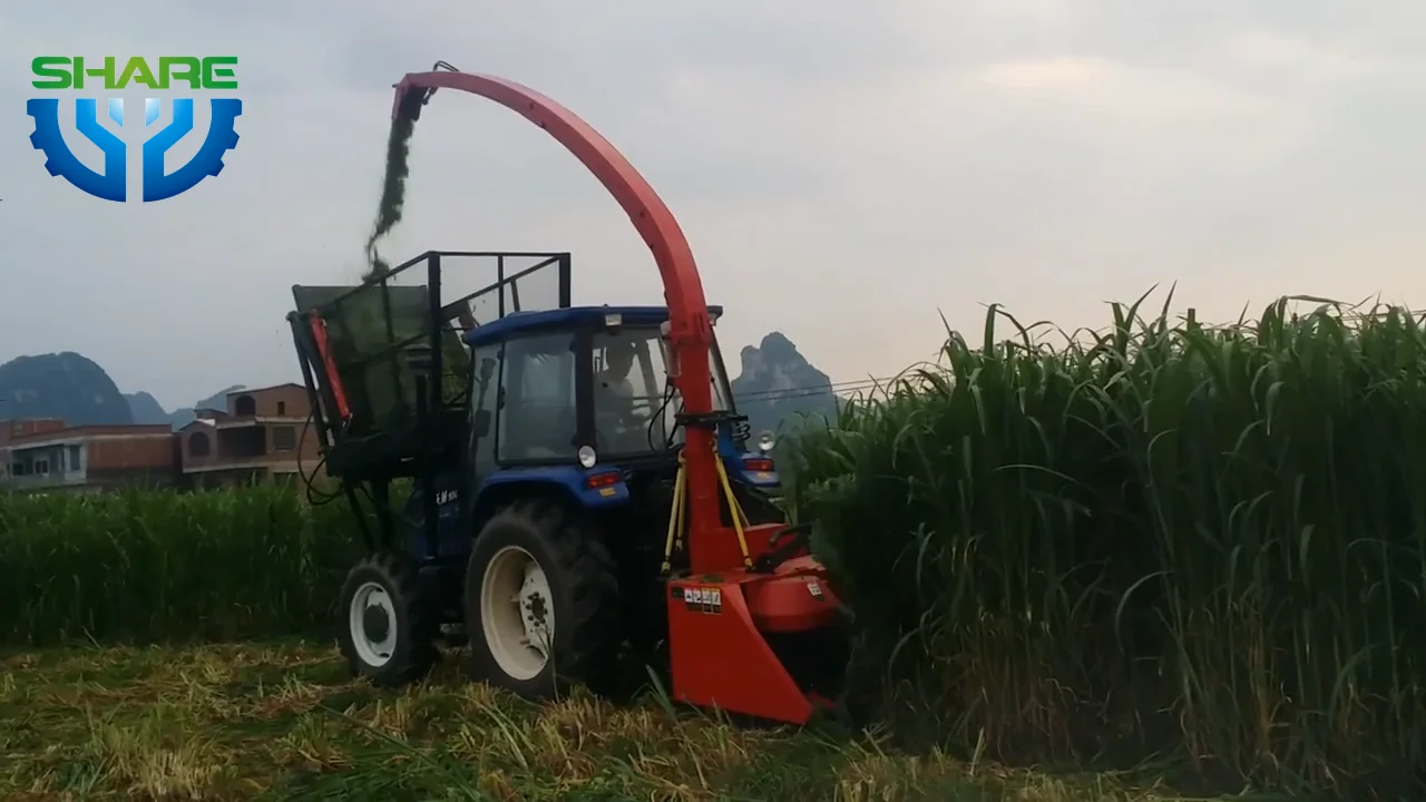 Agricultural Green Forage Harvester Mini Sweet Corn Silage Combine ...