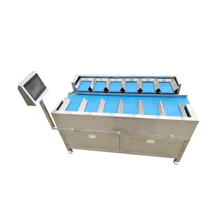 Multi Sorting Check Weigher Weight Sorting Grading Machine Automatic