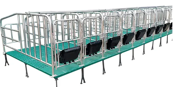 Stainless Steel Pig Gestation Stalls - Durable & Versatile