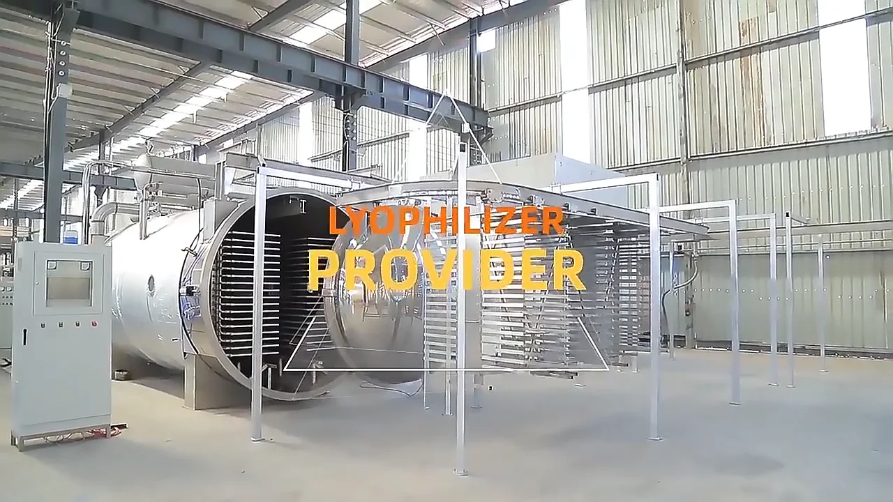 Tca 1000kg 100m2 500kg 50m2 Fruit Freeze Drying Machine Coffee Freeze ...