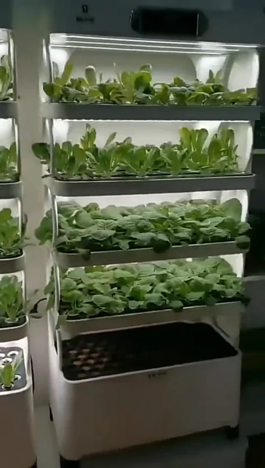 High Yield Smart Farms Vertical Hydroponic Machine Growing High Quality ...
