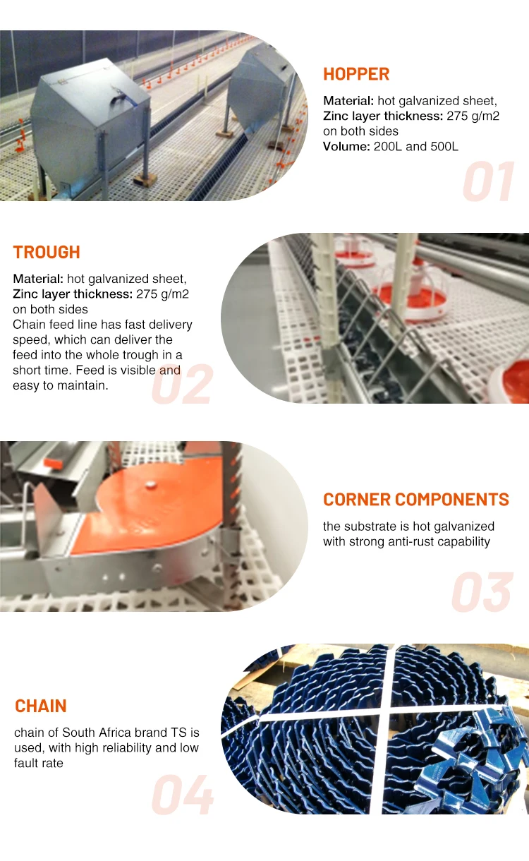 Automatic Poultry Farm Broiler Equipment Chain Feeding System