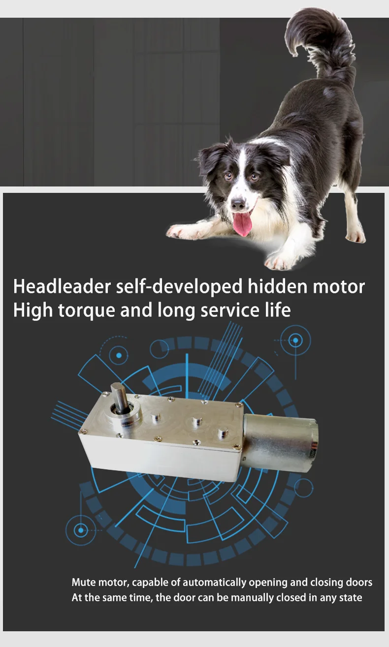 Removable Foldable 304 Stainless Steel Square Tube Heavy Duty Pet Cage ...