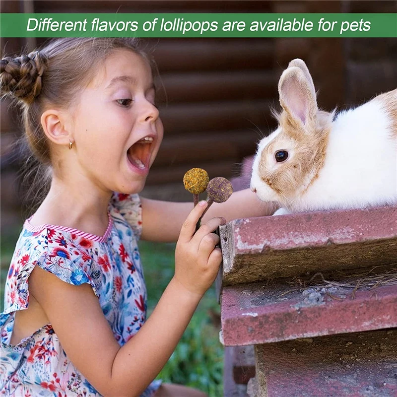 Rabbit Chewable Lollipop Toys, Interactive Bunny Toy for Small Pets ...