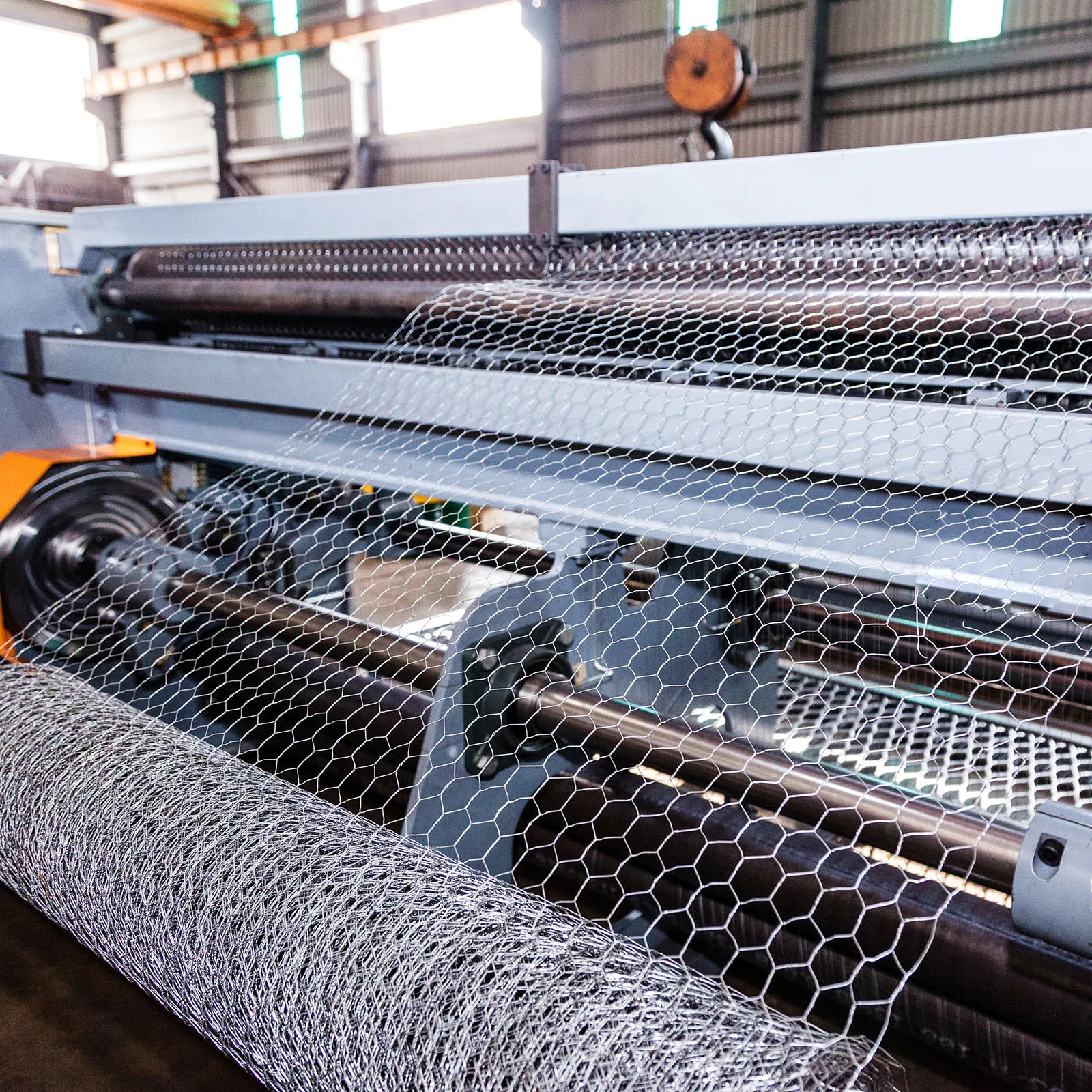 Galvanized Hexagonal Wire Mesh Plastic Pvc Coated 6 8 Foot Tall Coop ...