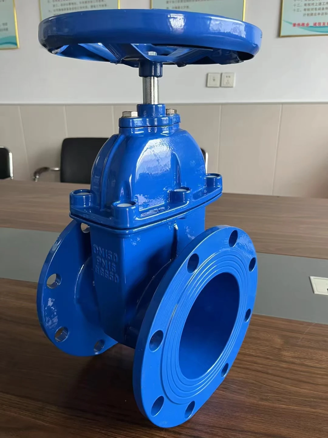 Blind Rod Soft Seal Flange Gate Valve Cast Iron Resilient Seated Gate ...