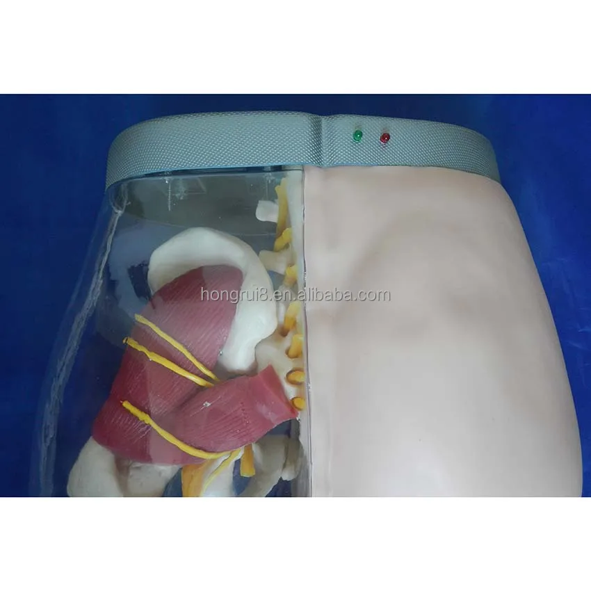 Buttocks Intramuscular Injection Model - Hip Injection Training