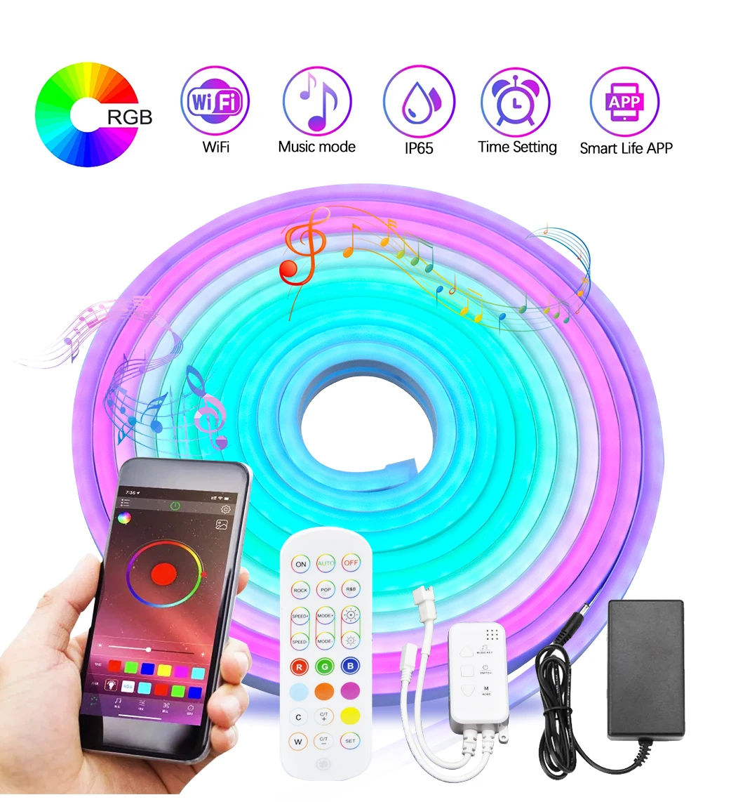 Waterproof Rgb Neon Led Rope Light 12v Outdoor Led Strip 24v Smart App ...