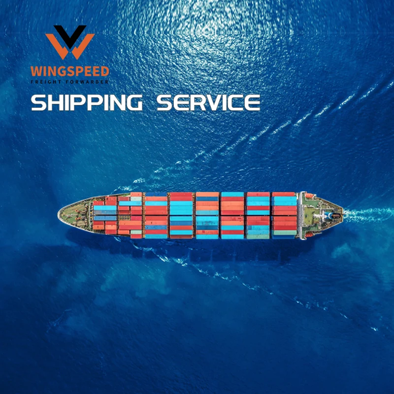 International Ocean Shipping Sea Freight Forwarding in China to UK DE ...