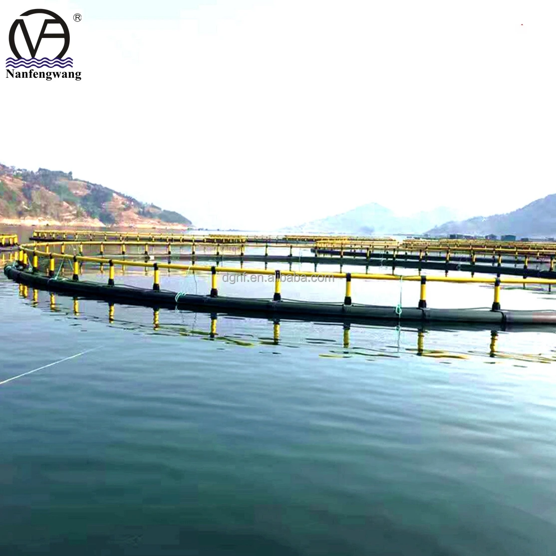 Classical Floating Round Breeding Cage Fish - Buy Breeding Cage Fish ...