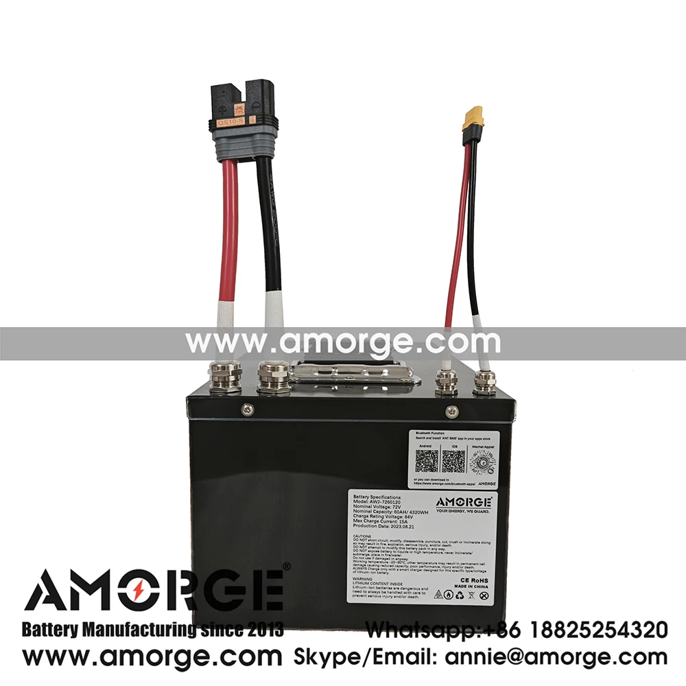 Amorge Lithium Batteries - Reliable Power for Electric Bikes