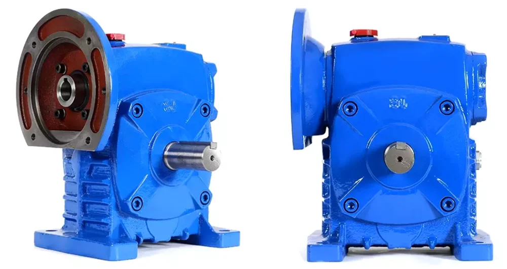 Professional WPA WPS WPO WPX 40-250 Series Worm Gear Reducer