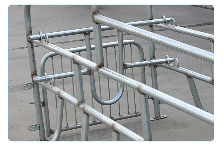 Sow Gestation Cages - Durable & Efficient Pig Farming Equipment