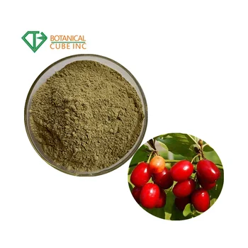 Natural Herbal Extract Dogwood Extract Powder Cornus Officinalis Fructus Corni Extract - Buy ...