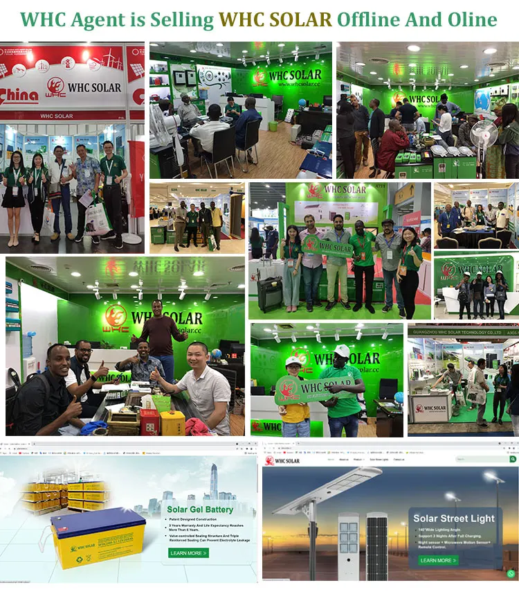 Whc Mini 12v 48v 220v 16ah 30a 60a 80amp Regulateur De Panneau Solaire ...