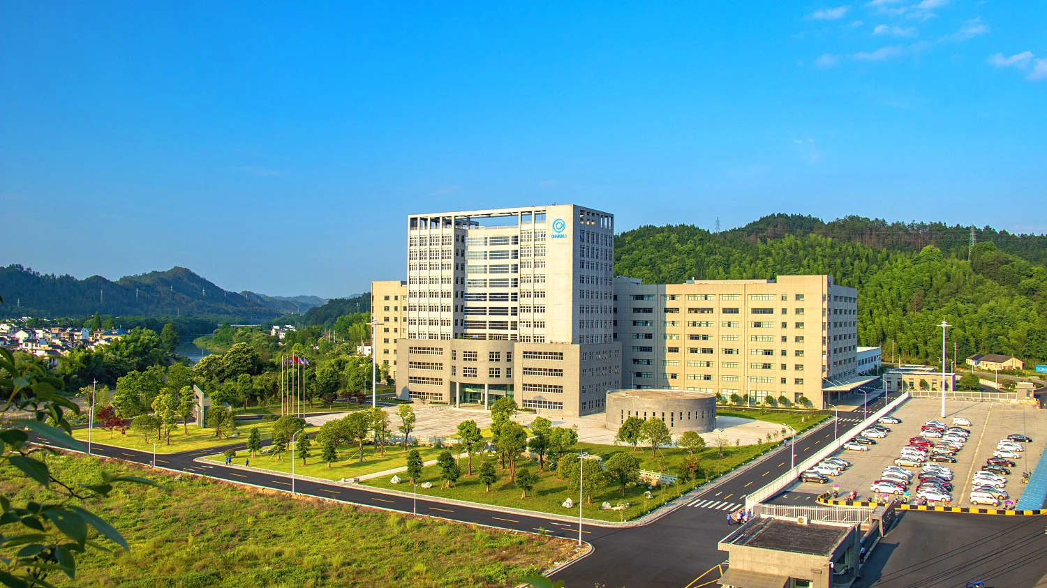 PEPS System - High Security Electronic Steering Column Lock